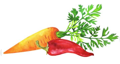 Taju Gajar Marcha nu Athanu (A Fresh Carrot and Green Chili Pickle ...